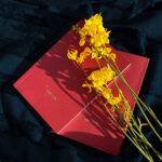 Adonis – Official Website